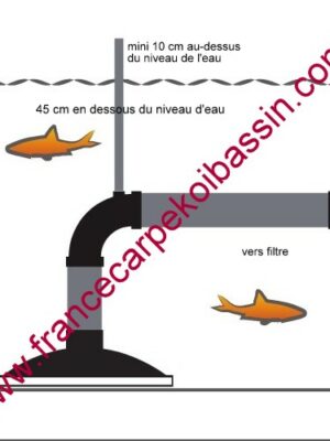 Archives des Skimmer et Bonde de fond - France Carpe Koï Bassin